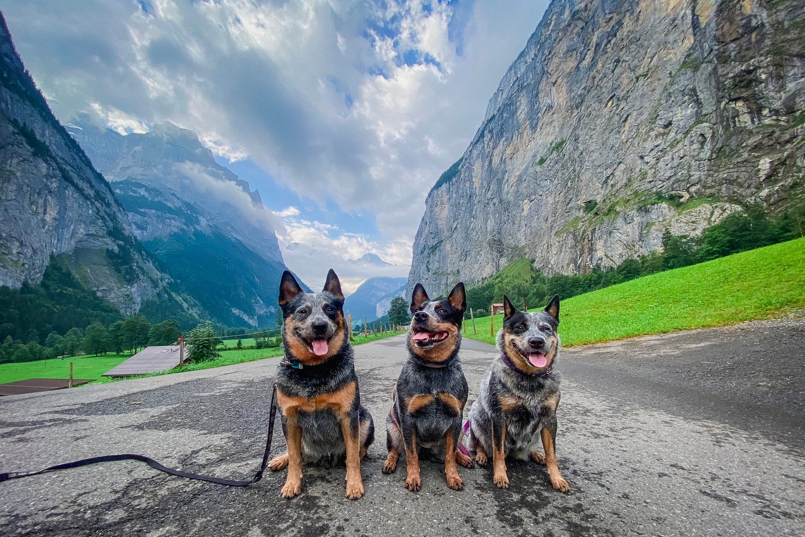 Par mums – OZI Home